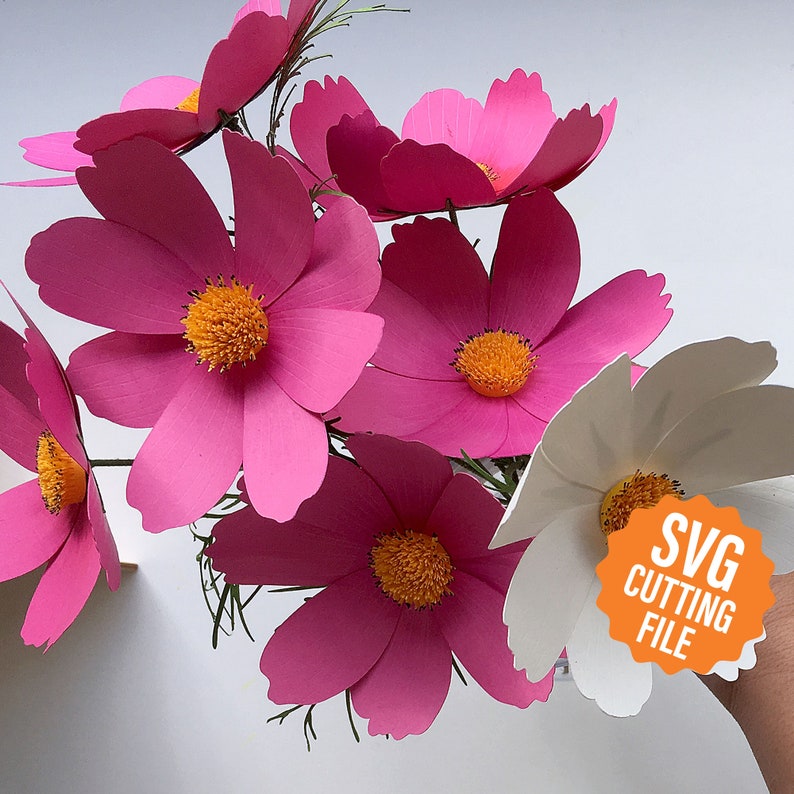 Cosmos 3D Paper Flower Template & Tutorial, SVG Template for Cricut and ...