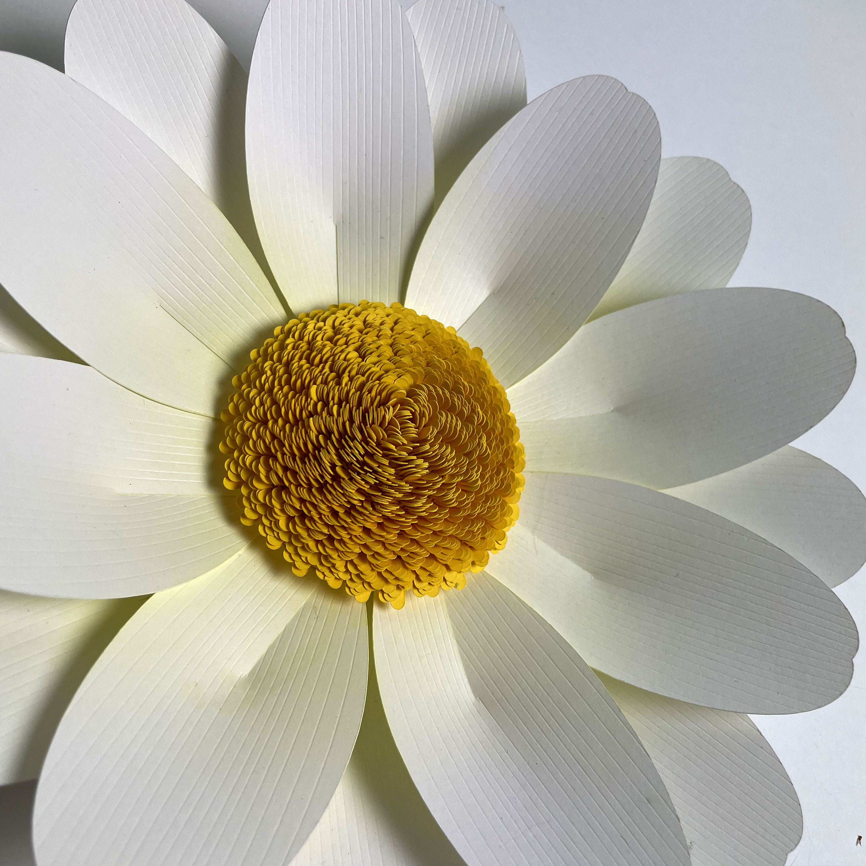 3D Paper Daisy Flower SVG Cutting File for Cricut and - Etsy Canada