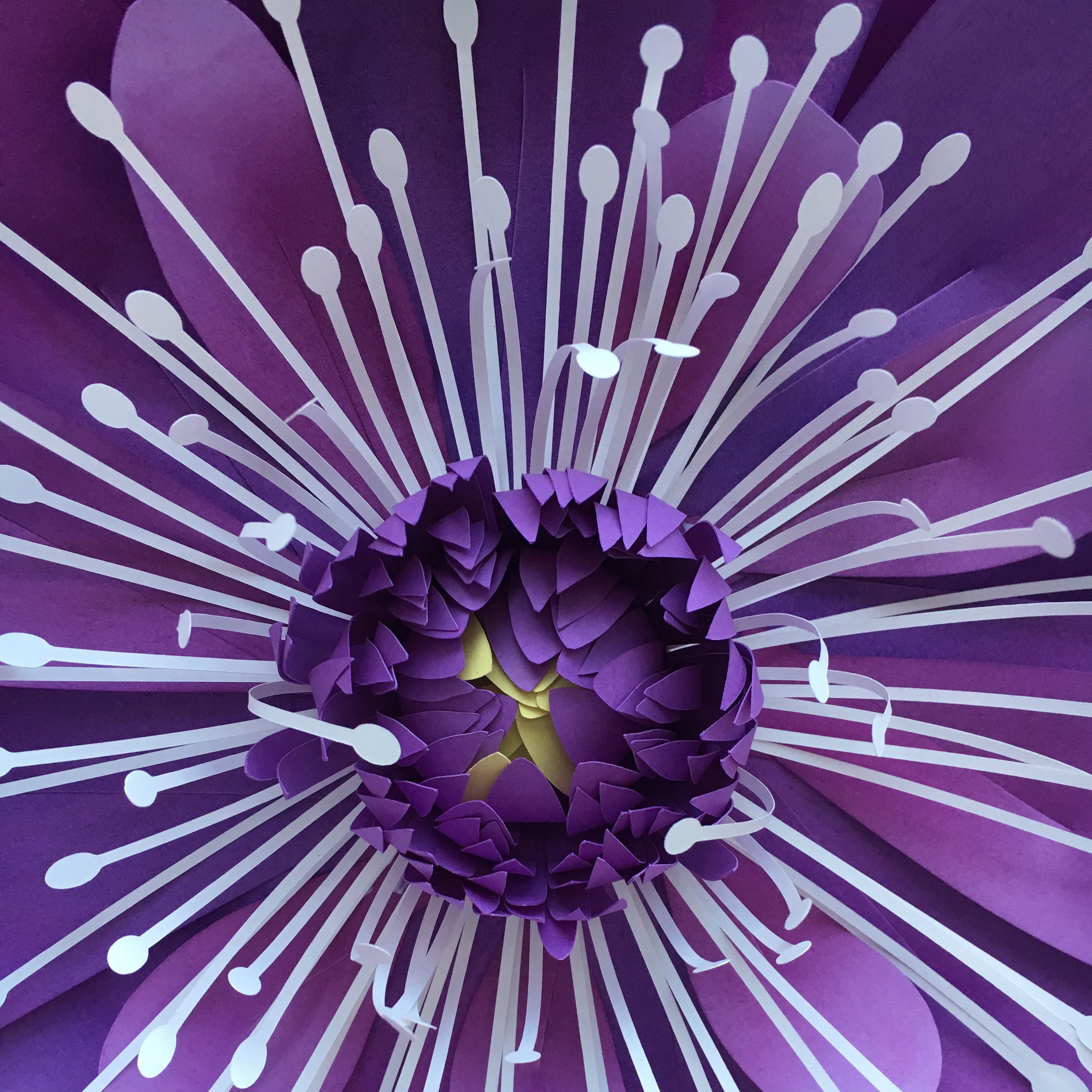 Stamens & Buds Giant Paper Flower Centers Cutting File for Silhouette ...