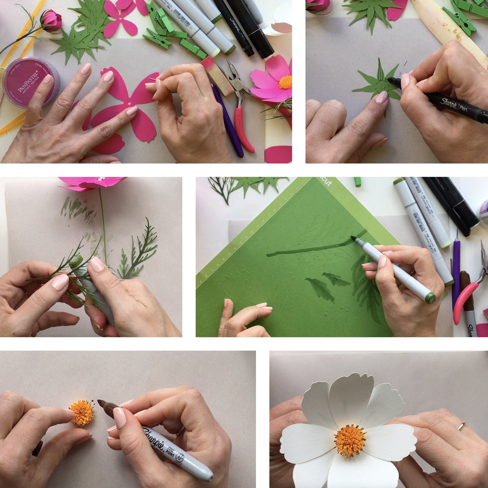 Cosmos 3D Paper Flower Template & Tutorial SVG Template for - Etsy