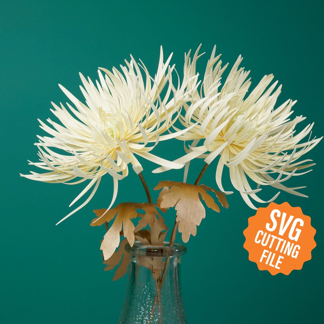 Paper Flower Template, Spider Mum Cutting Files for Silhouette or ...