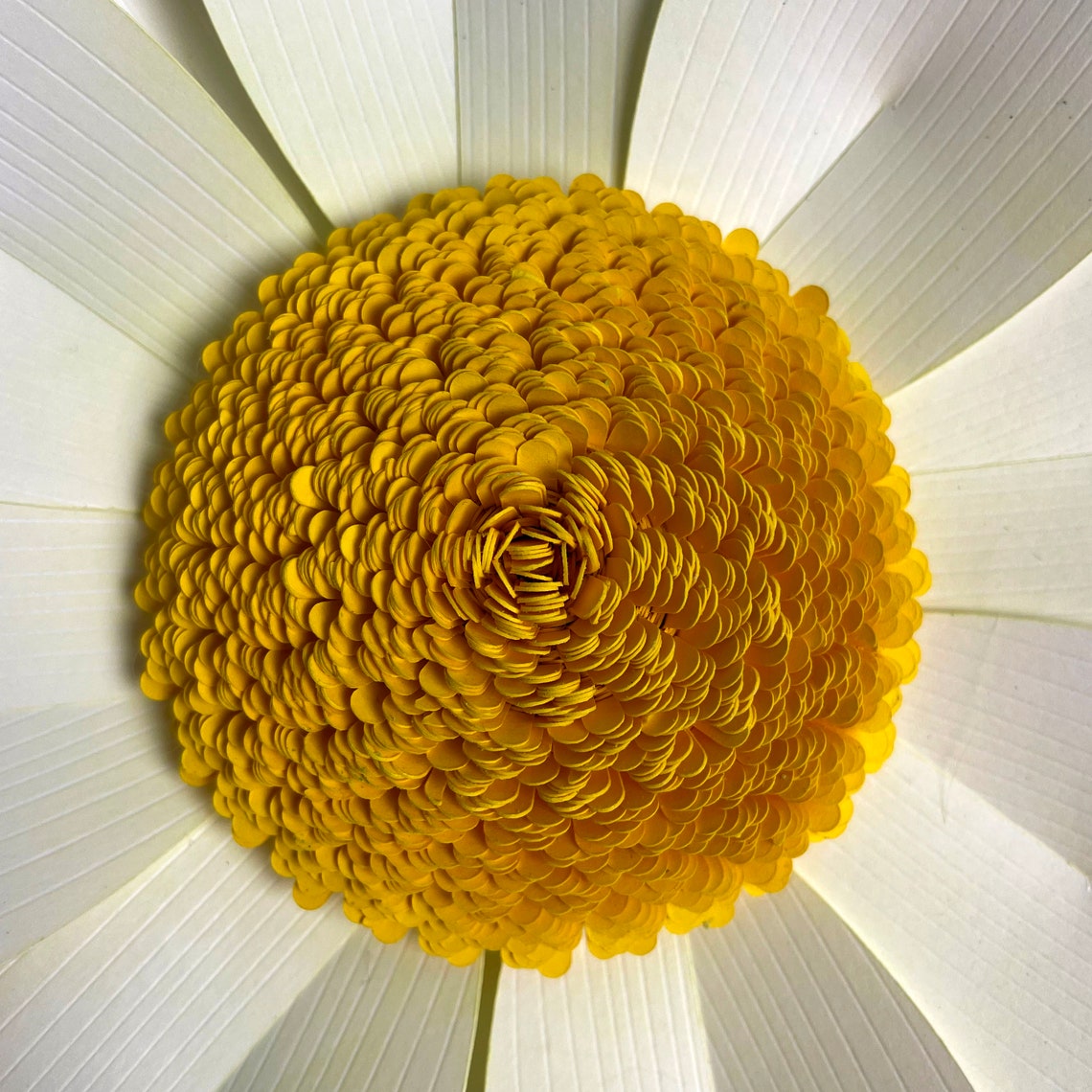 3D Paper Daisy Flower SVG Cutting File for Cricut and - Etsy Canada