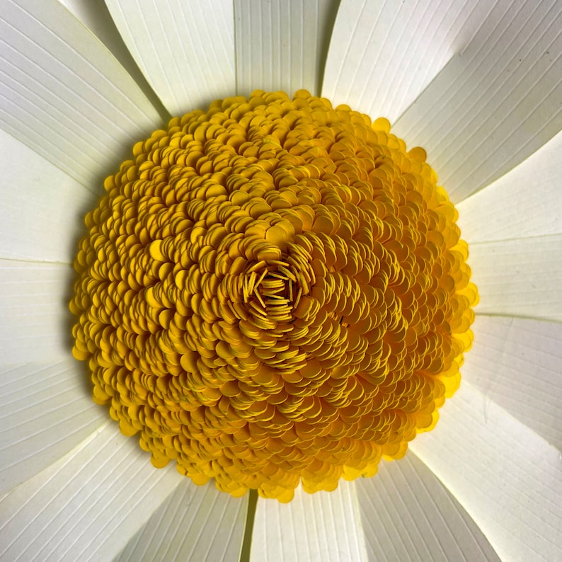 3D Paper Daisy Flower SVG Cutting File for Cricut and Silhouette (SVG ...