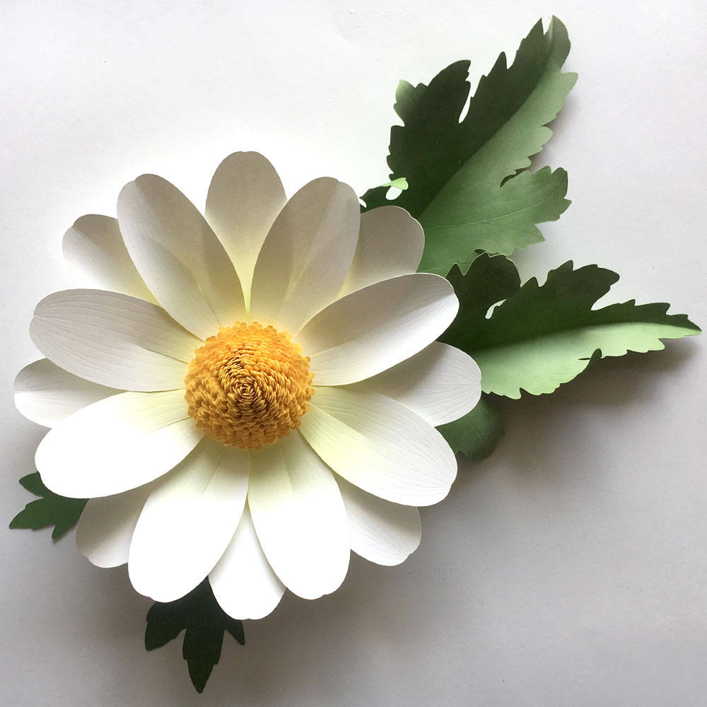 3D Paper Daisy Flower SVG Cutting File for Cricut and Silhouette (SVG ...