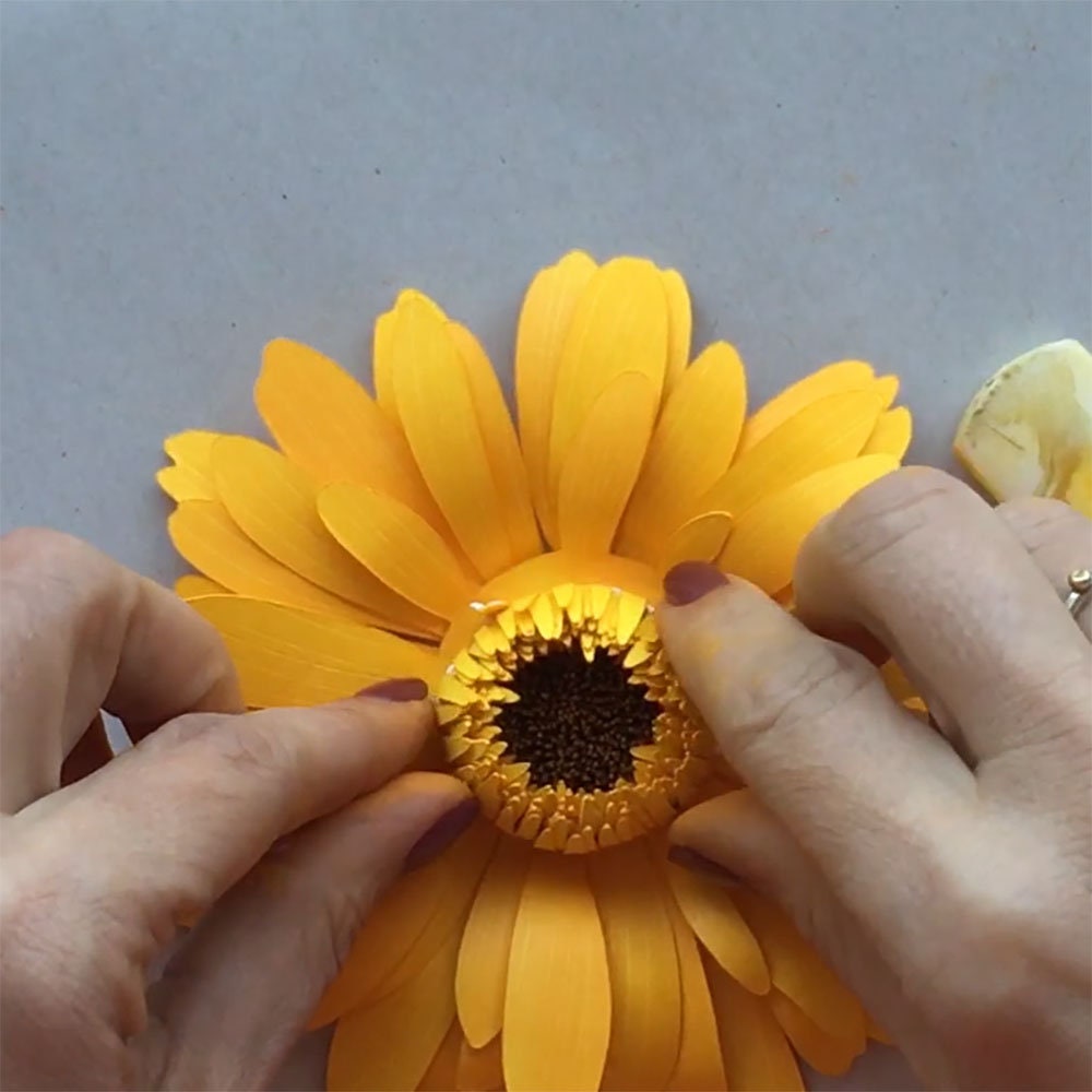Gerbera Daisy 5 3D Paper Flower Template for Cricut and - Etsy UK