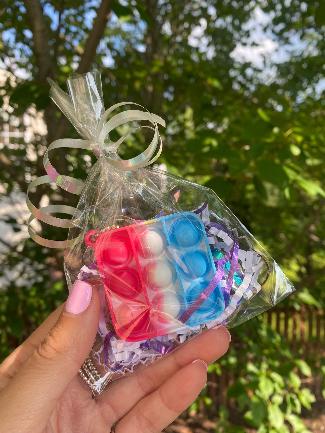 Popit Fidget Gift, End of School Year Gift, Classroom Party Favor ...