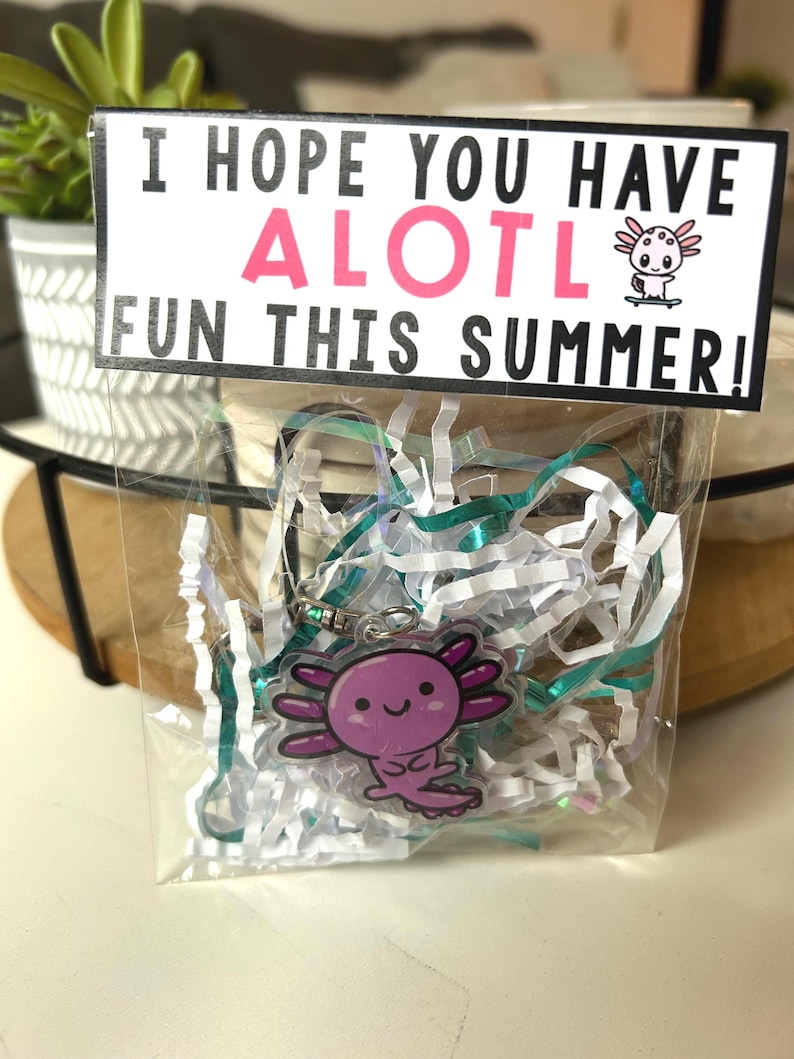 Axolotl Keychain, End of Year Student Gift, Axolotl Party Favor, End of ...