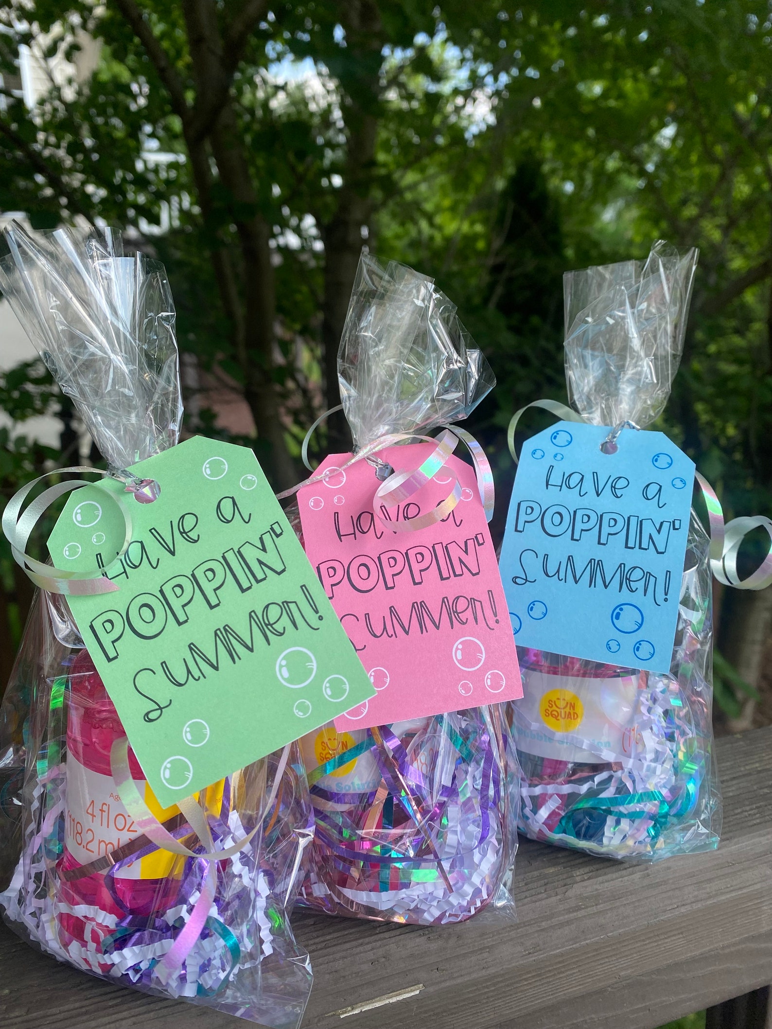 End of School Year Gifts, Classroom Party Favor, Summer Gift for ...