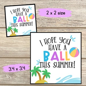 Beach Ball Gift Tag, Hope You Have A Ball This Summer Tag, Custom End ...