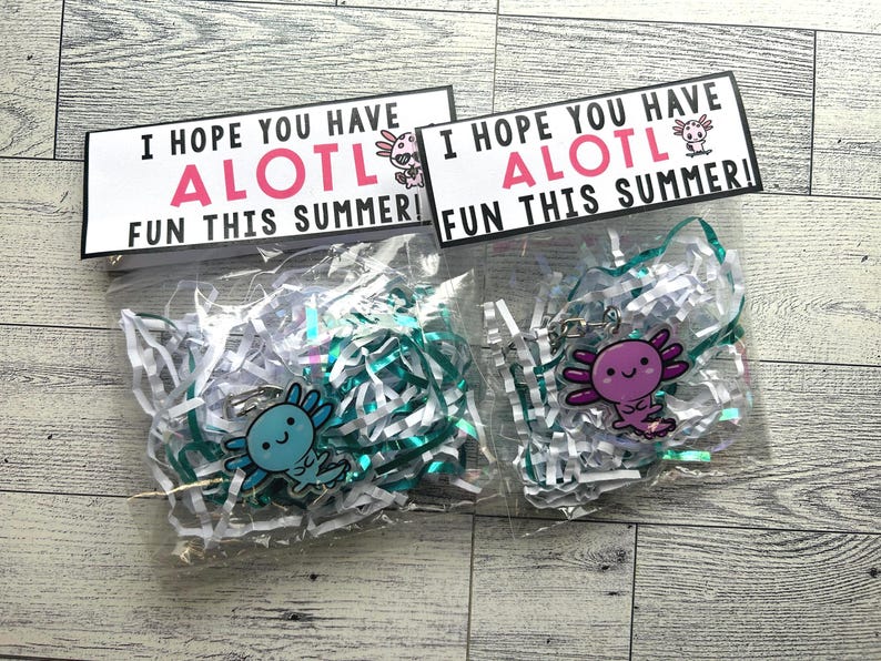 Axolotl Keychain, End of Year Student Gift, Axolotl Party Favor, End of ...
