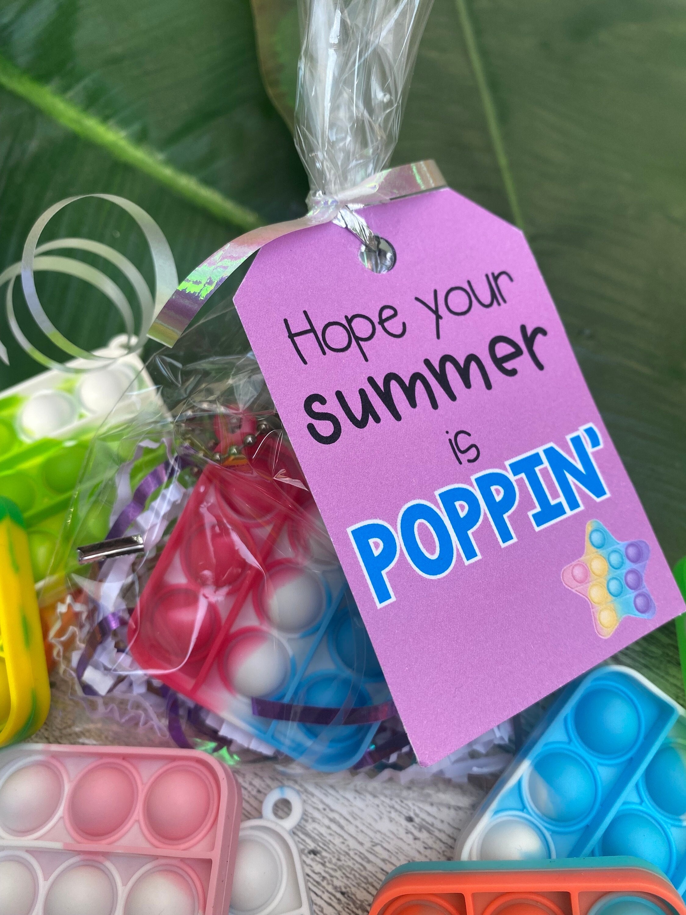 Popit Fidget Gift, End of School Year Gift, Classroom Party Favor ...