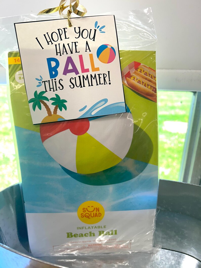 Beach Ball Party Favor, End of Year Student Gift, Summer Party Favor ...