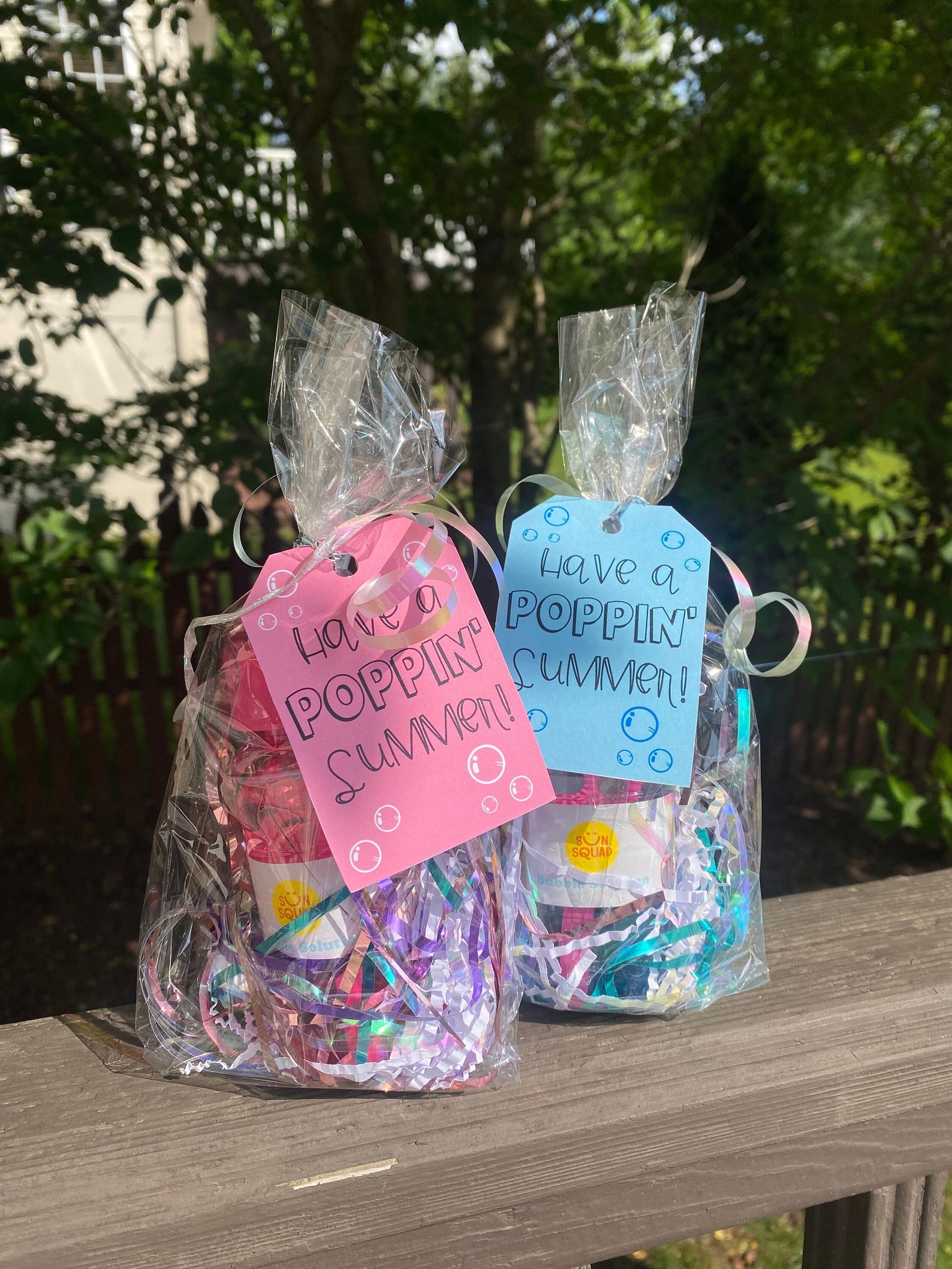 End of School Year Gifts, Classroom Party Favor, Summer Gift for ...