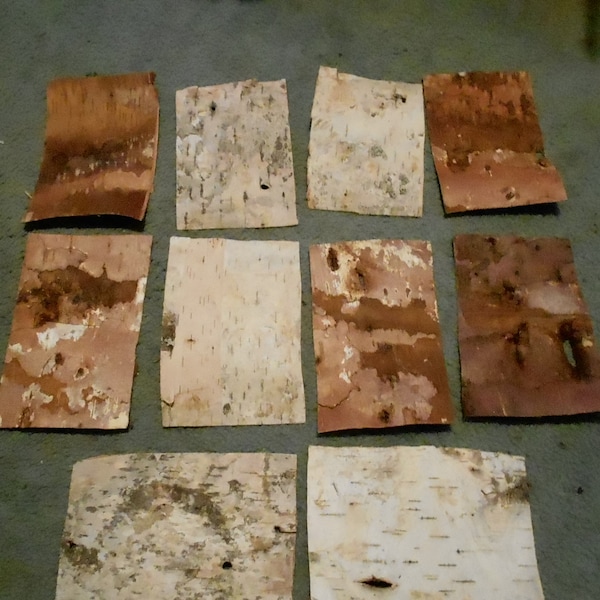 Birch Bark Sheets - Etsy