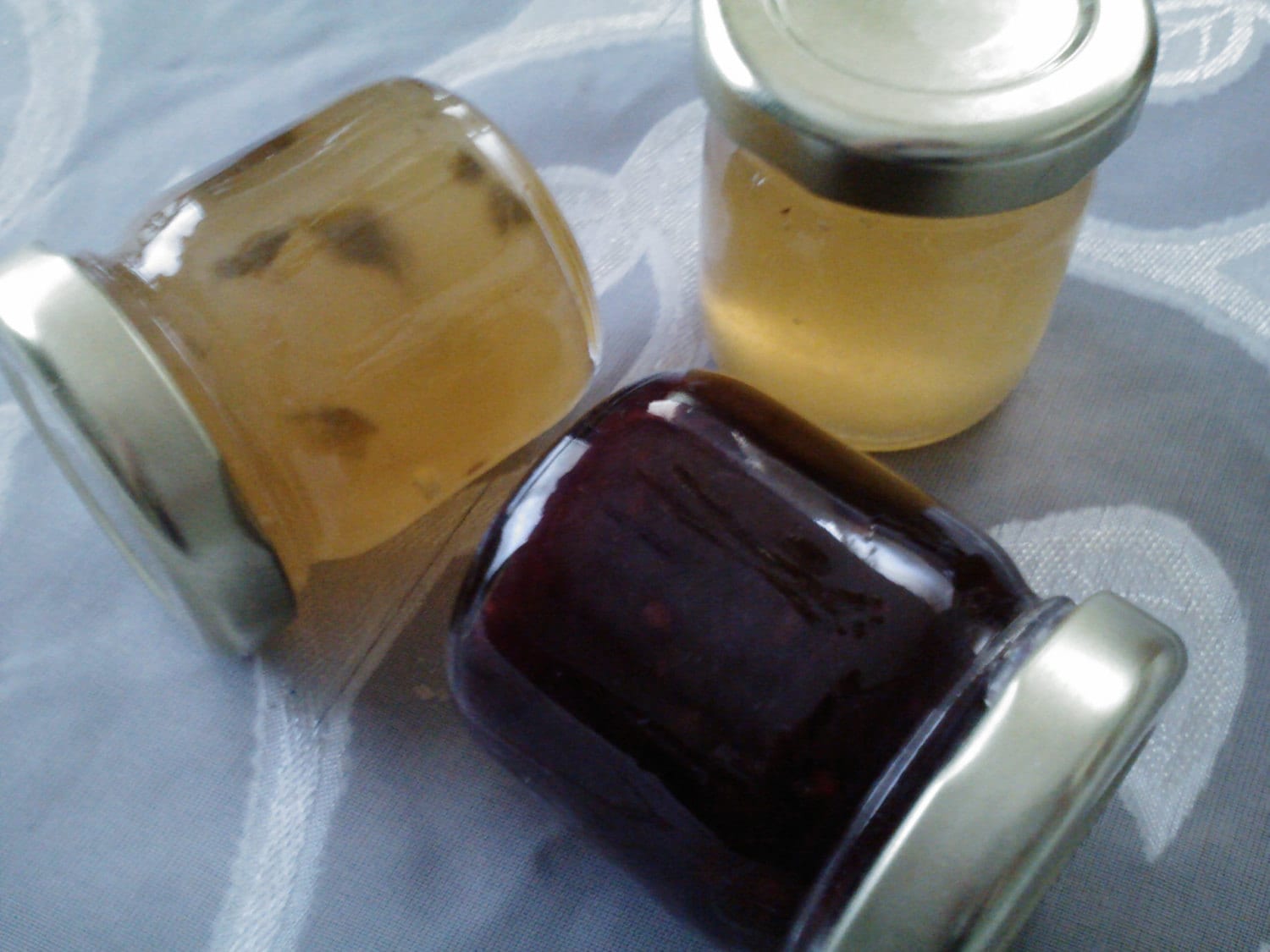 I TASTE GOOD In Samples-One Marmalade-Jelly-Jam Sample-1.5 oz | Etsy