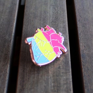 Pansexual Pride Pin Pan Pride Pin Anatomical Heart Pin | Etsy