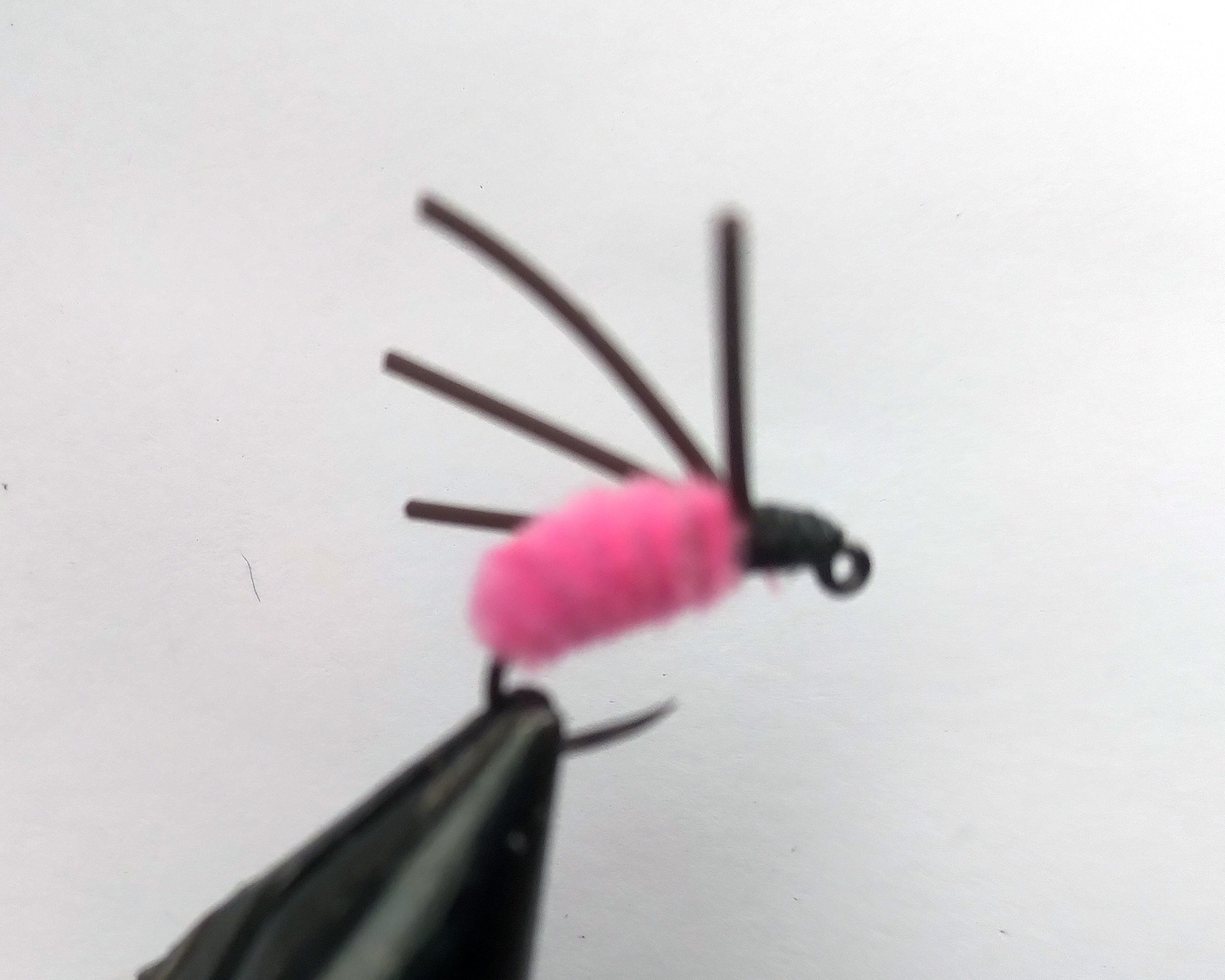 6 Bully Spider Fly Pink Bull Spider for Bluegill, Panfish, Bream, Bass ...