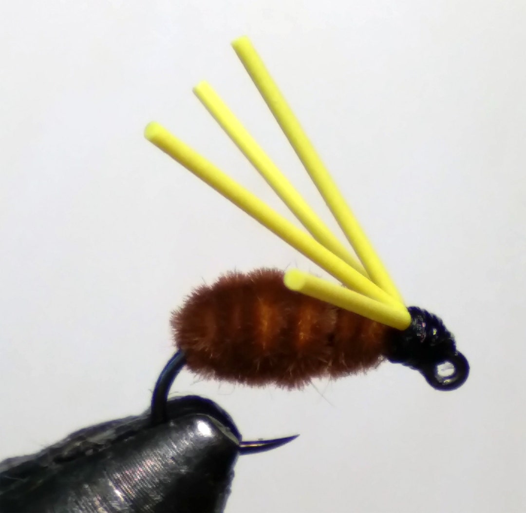 6 Bully Spider Fly - Bull Bluegill Spider for Panfish, Bream, Bass ...