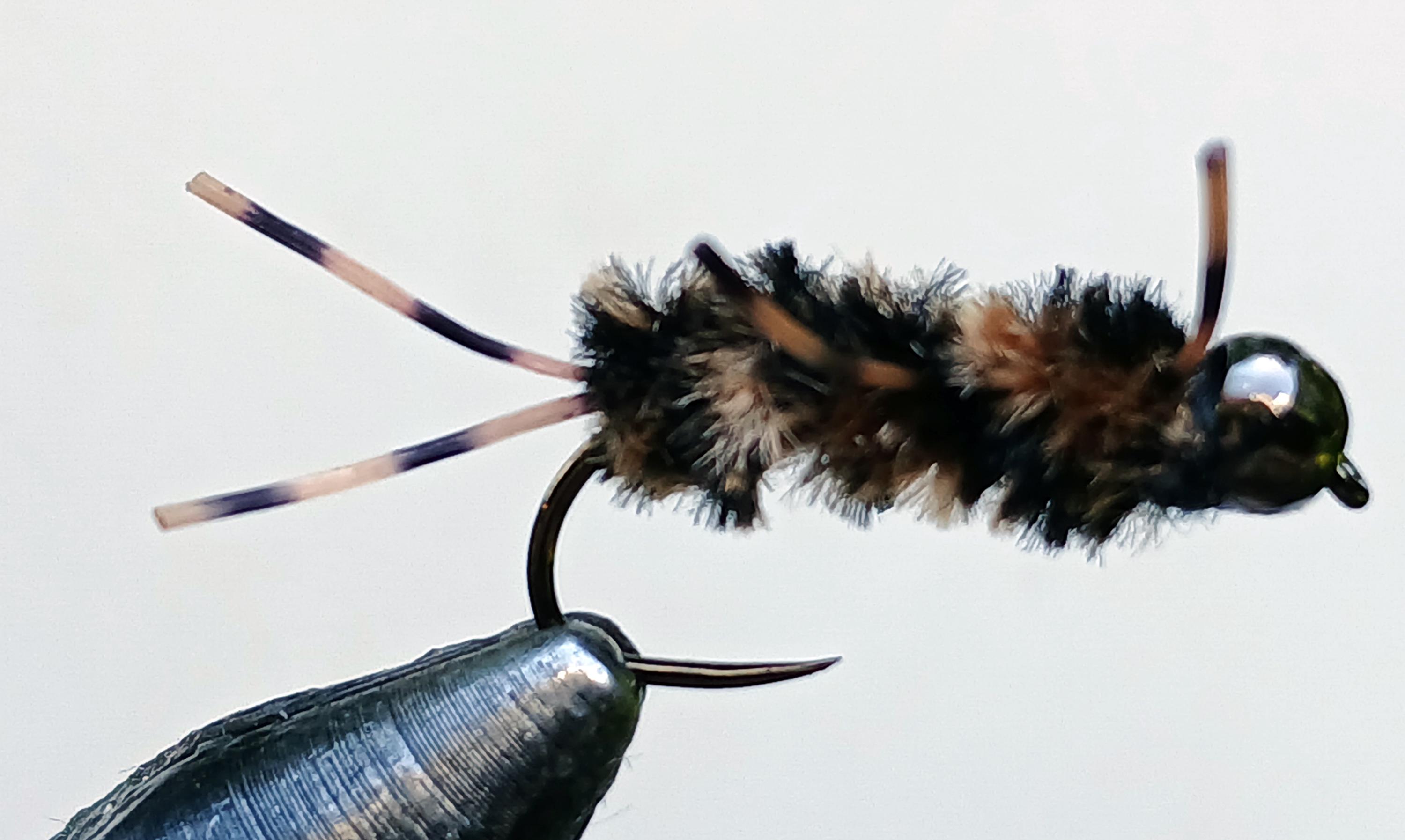 3 Tungsten Stonefly Nymphs: Pat's Rubber Legs Trout Flies, Size 12 - Etsy
