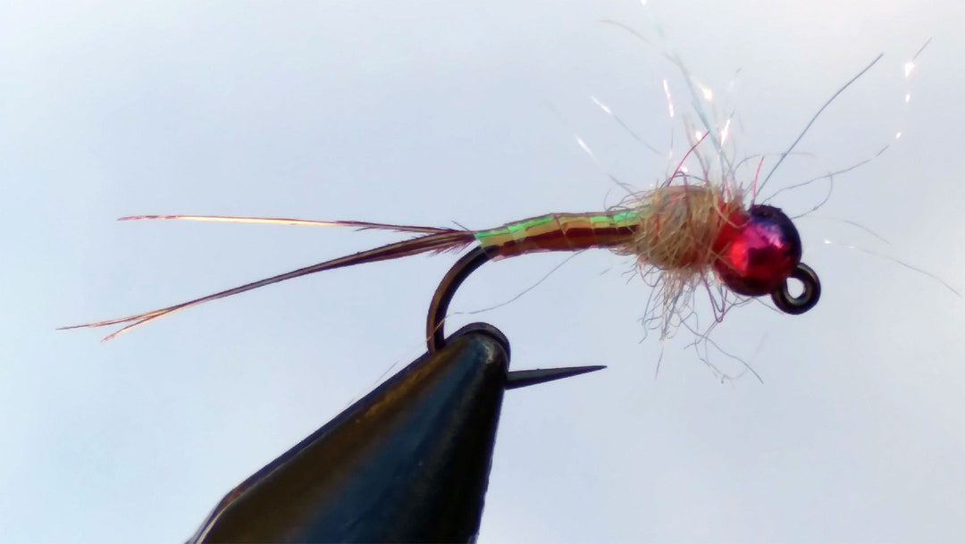 6 Rainbow Warrior Tungsten Bead Head Fly Fishing Flies - Euro Nymphing ...