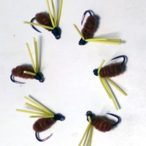 6 Bully Spider Fly - Bull Bluegill Spider for Panfish, Bream, Bass ...