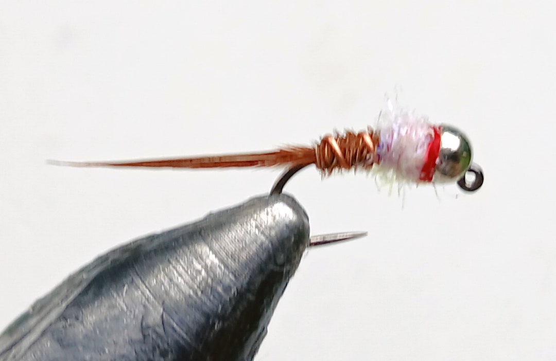 6 Frenchie #16 Fly 3.0mm Tungsten Bead Head Fly Fishing Flies - Euro ...