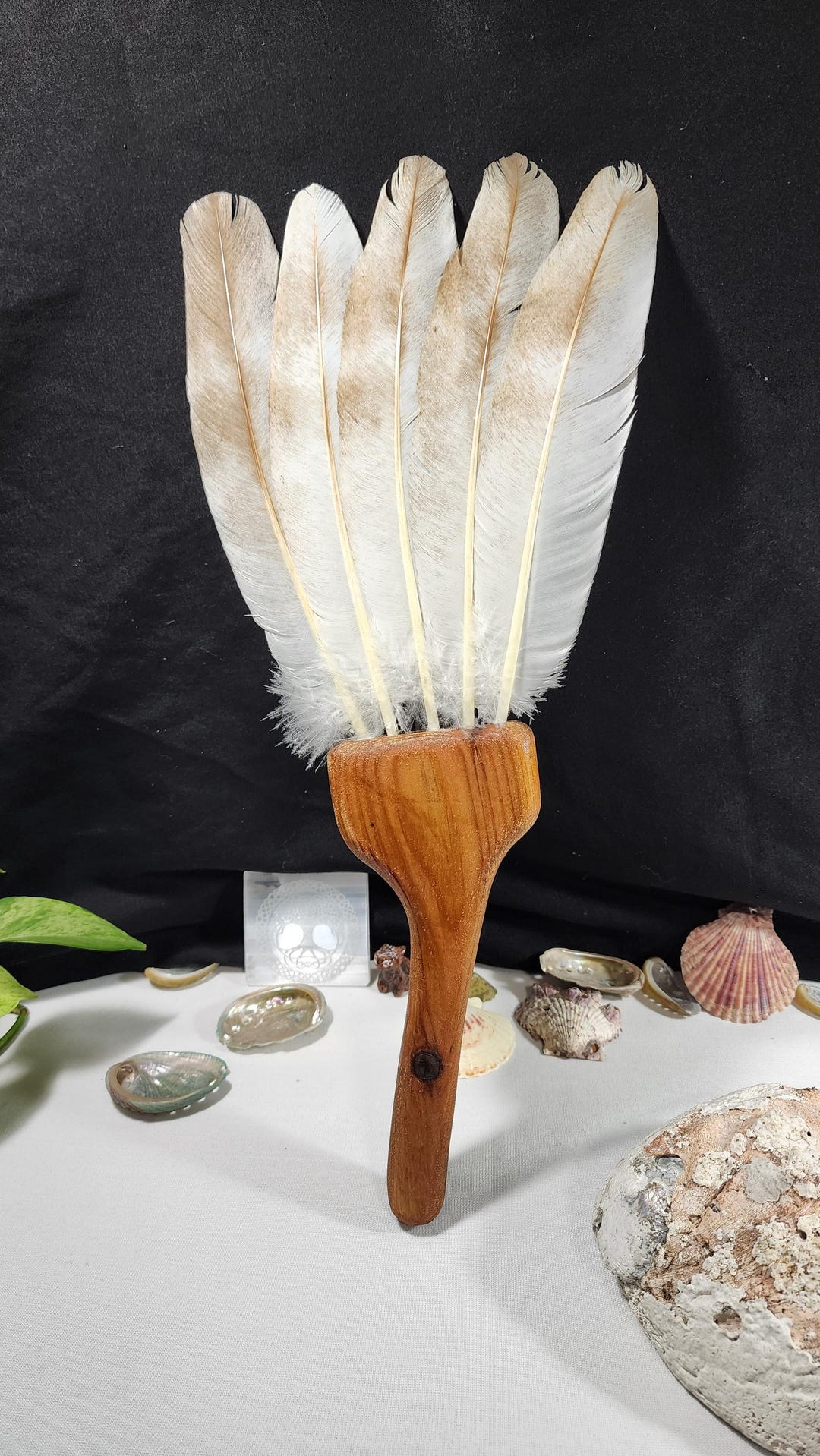 Cedar Handle, Hand Fan With 5 Large Bourbon Red Turkey Feathers ...