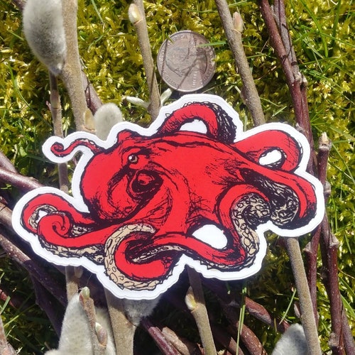 Octopus Sticker Vinyl Decal - Etsy