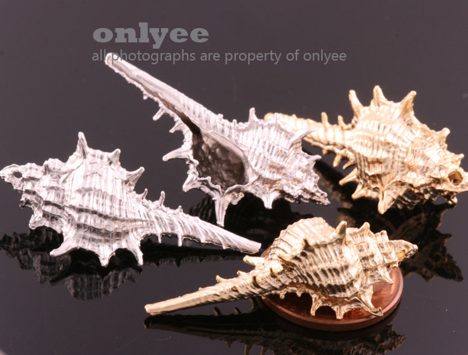 2pcs-35mm X17mmmatte Gold Plated Lace Murex Seashell - Etsy