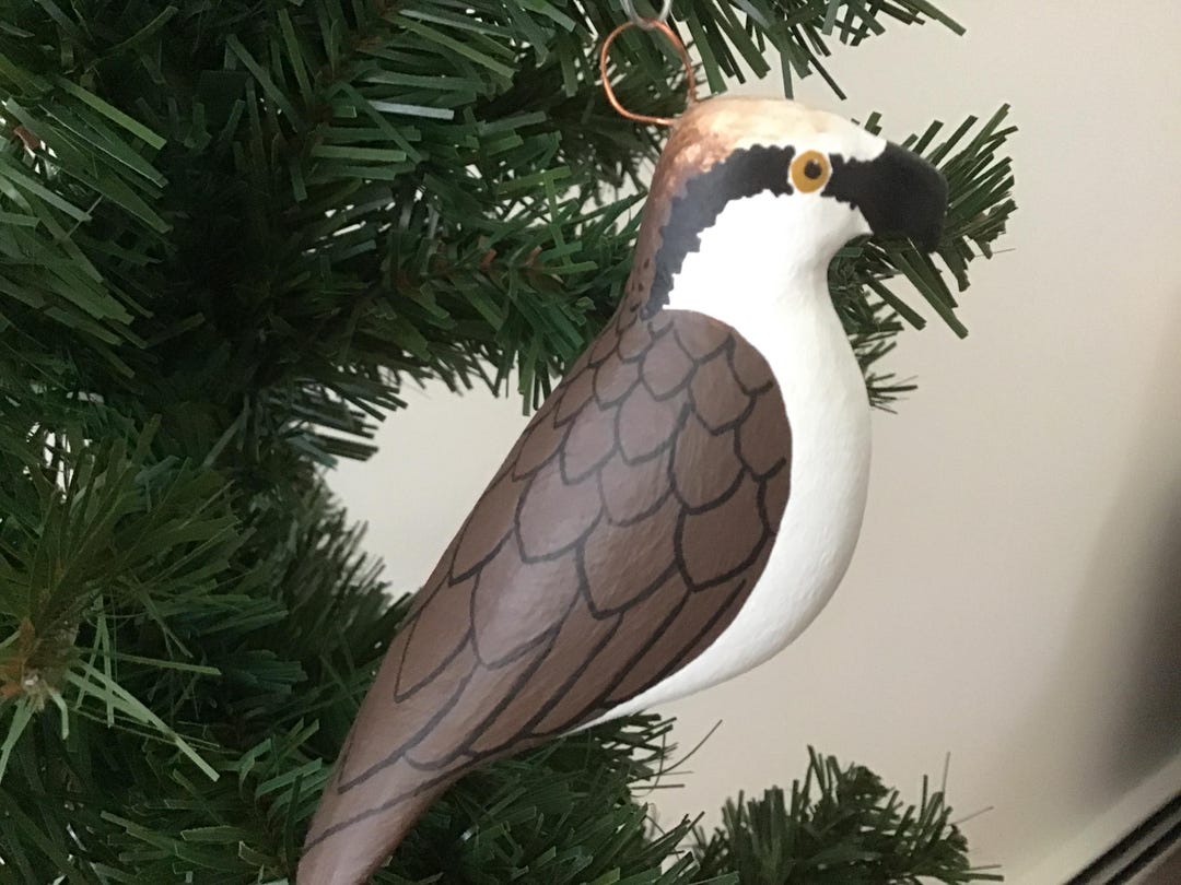 Osprey Ornament: Hand Carved and Hand Painted by Me at My Shop in Maine ...