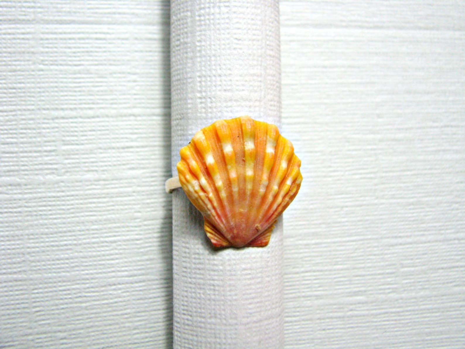 Sunrise Shell Ring, Hawaii Seashell Ring, Yellow Shell Ring, Sunrise ...
