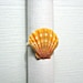 Sunrise Shell Ring, Sunrise Jewelry, Hawaii Shell Ring, Beachy Ring ...