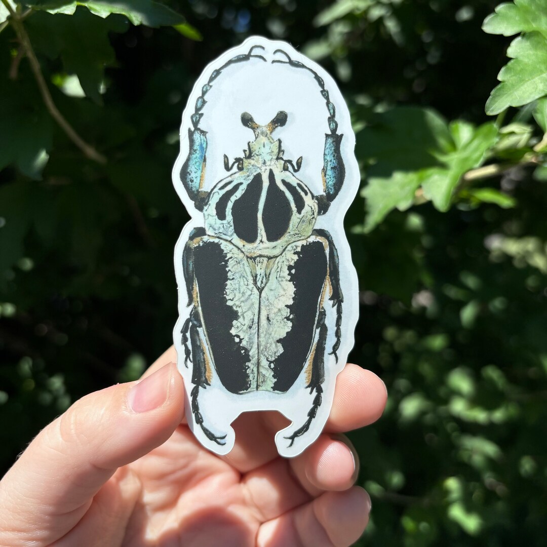 Goliath Beetle Sticker - Etsy