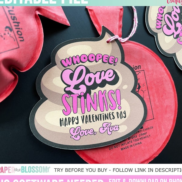 Whoopee Cushion - Etsy