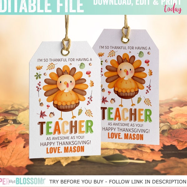 Teacher Appreciation Tags - Etsy