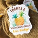 12 Tropical Summer Pineapple Thank You Party Favor Tags - CUSTOM ...