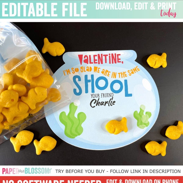 Valentine Treat Bag - Etsy