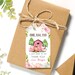 EDITABLE Farm Floral Farm Animal Barnyard First Birthday Stats Poster ...