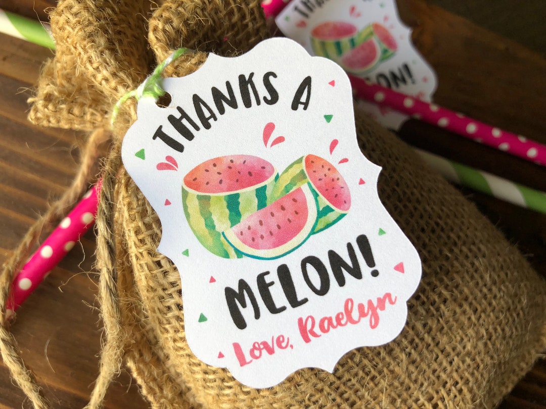 12 Watermelon Thanks a Melon CUSTOM Birthday Favor Tags - One in a ...