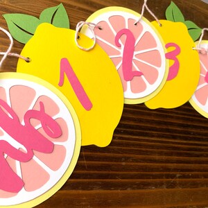12 Pink Lemonade Birthday Party Paper Drinking Straws - Lemon Slice ...