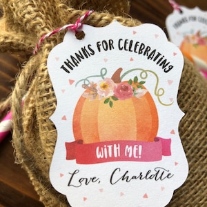 12 Custom Little Pumpkin Pink Birthday Thank You Favor Tags - Fall ...