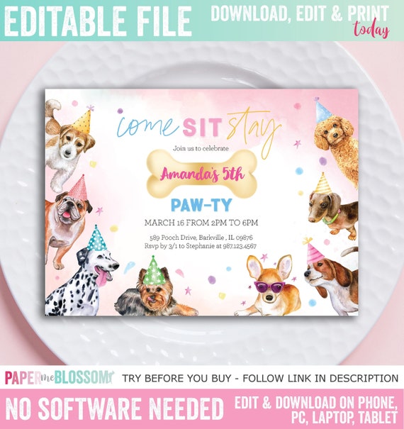 Come Sitstay Birthday Invitation