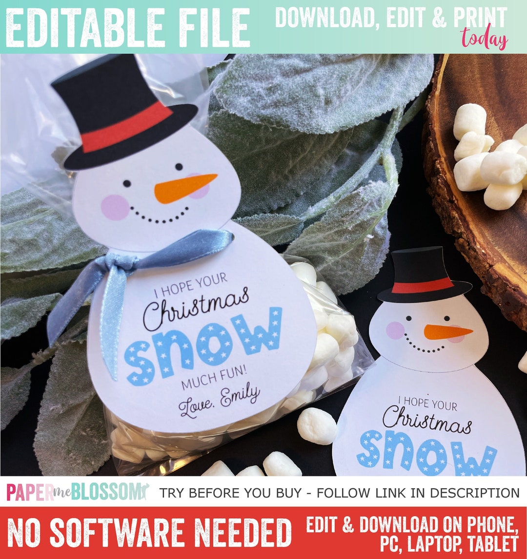 Christmas Snowman I Hope Your Christmas as SNOW Much Fun! - Snowman ...