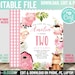 EDITABLE Farm Floral Farm Animal Barnyard First Birthday Stats Poster ...