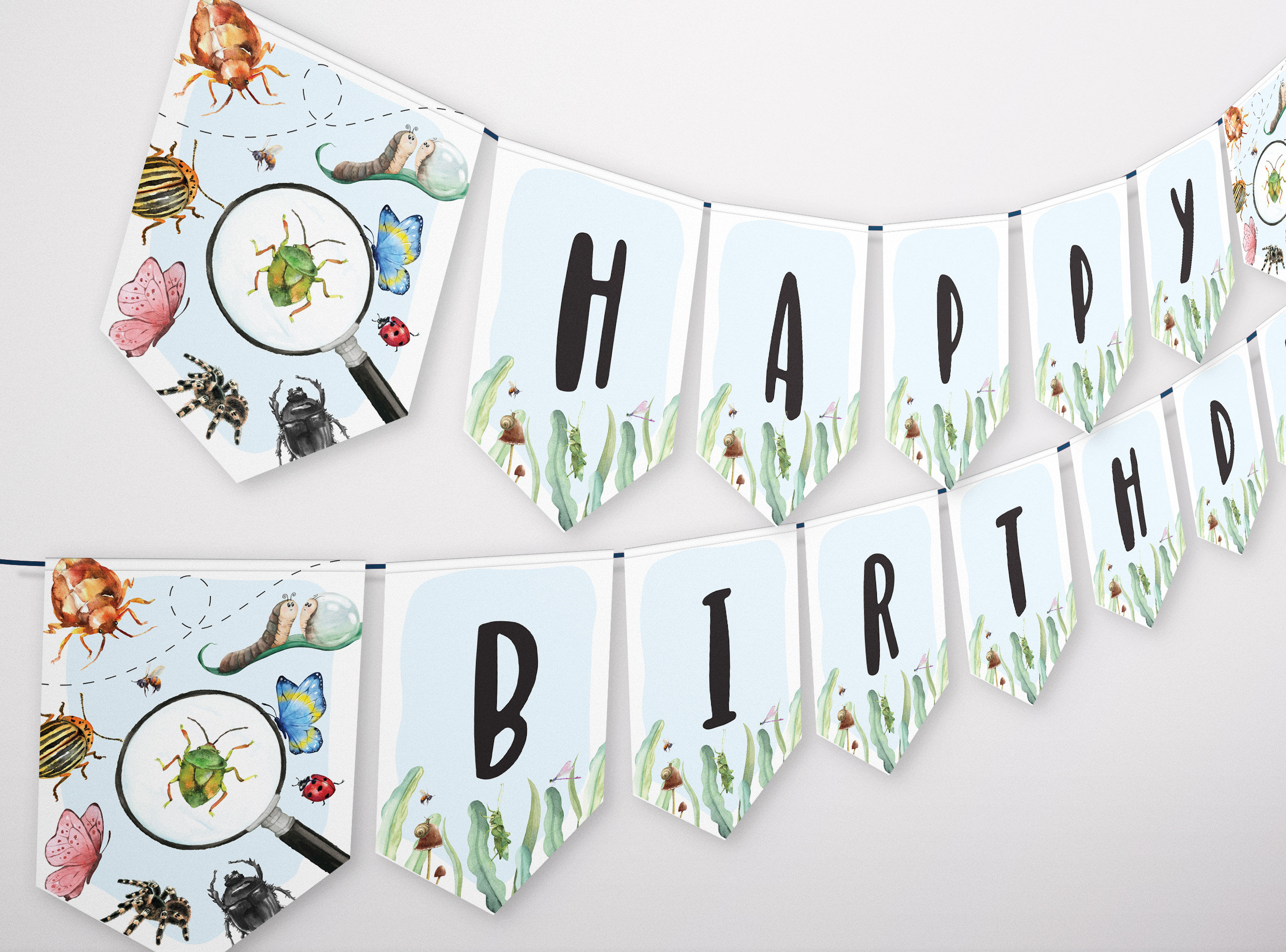 EDITABLE Buzz Hop Crawl Bug Birthday Welcome Poster - Insect Nature ...