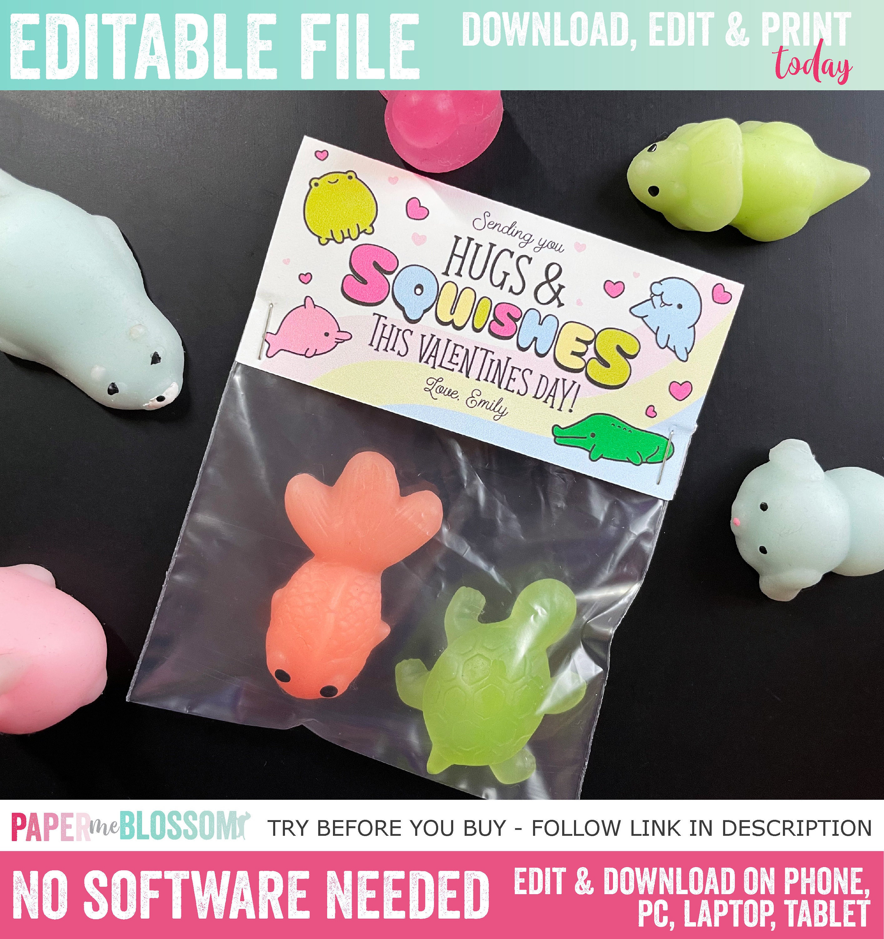 EDITABLE Squishie Hugs and Squishes for You Toy Gift Tag - Valentine ...