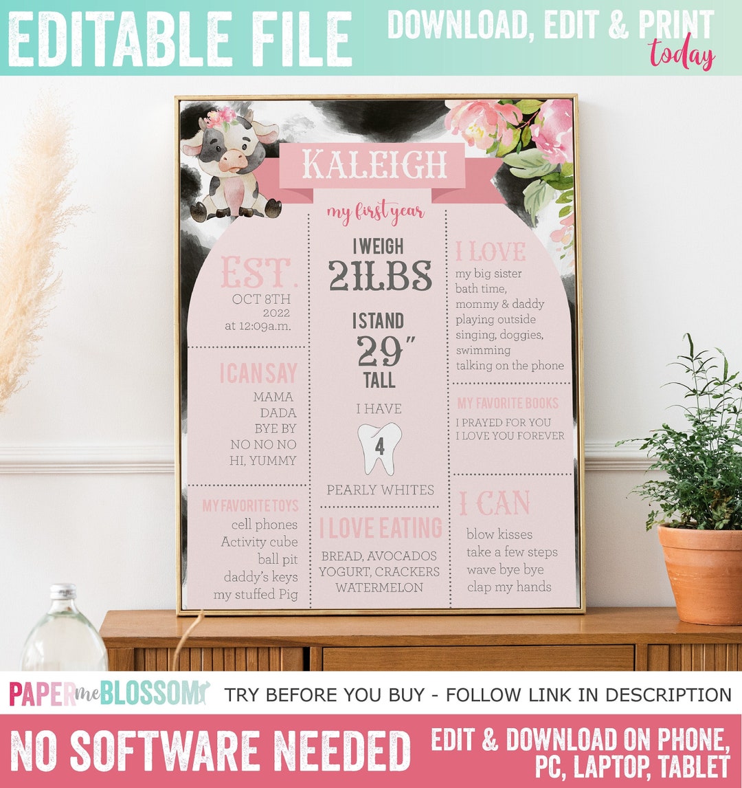 EDITABLE Holy Cow First Birthday Birthday Stats Info Poster - Floral ...