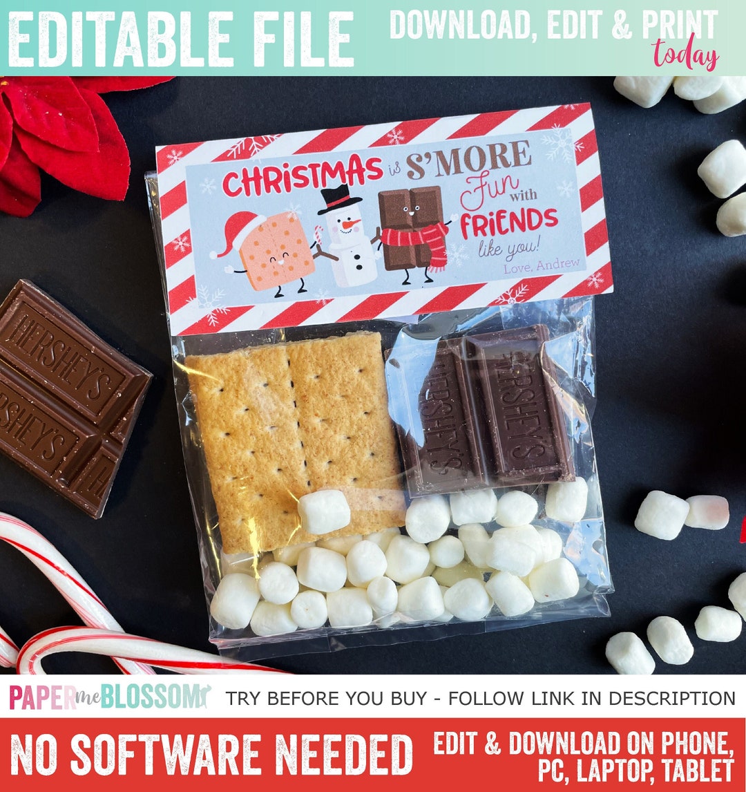 Christmas is S'more Fun With Friends Like You Gift Tag - S'more Goodie ...