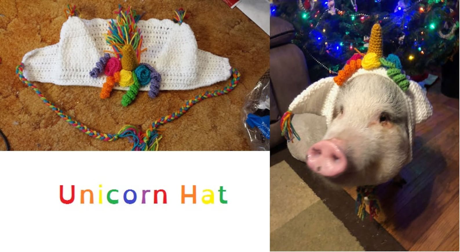 Pig Hat as in Hat for Your Pig Piggie Piglet Mini Pig Custom | Etsy
