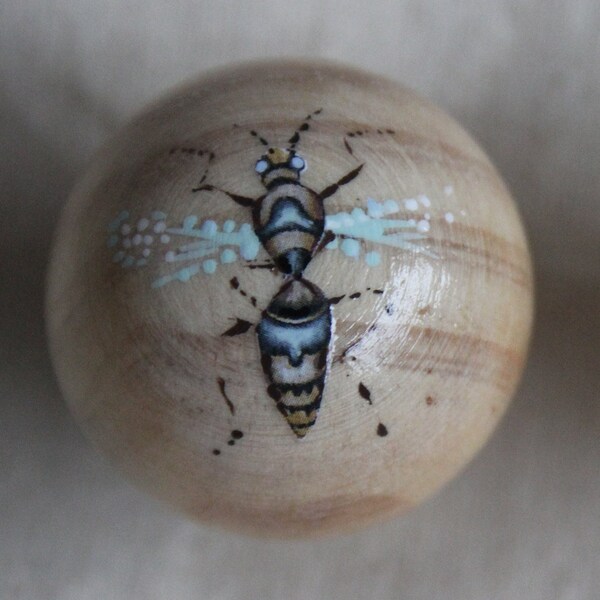 Insect Drawer Knobs - Etsy
